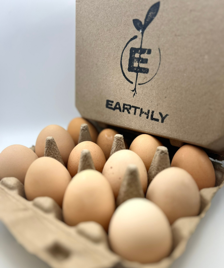 Dozen Eggs – EARTHLY